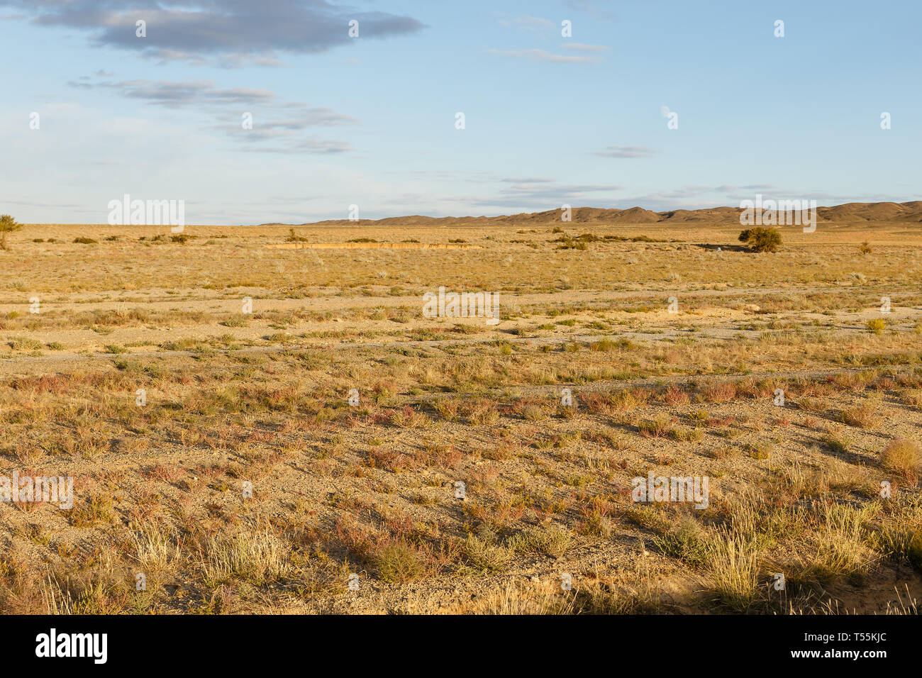 beautiful landscape of the gobi desert, mongolia Stock Photo - Alamy