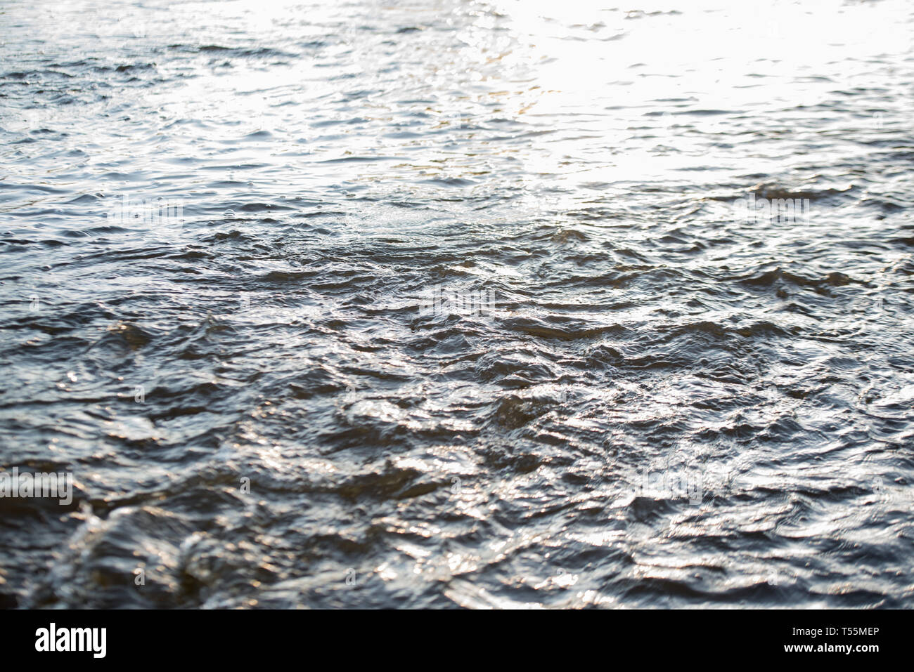 Rough water stream. foamy water rough mountain river Stock Photo - Alamy