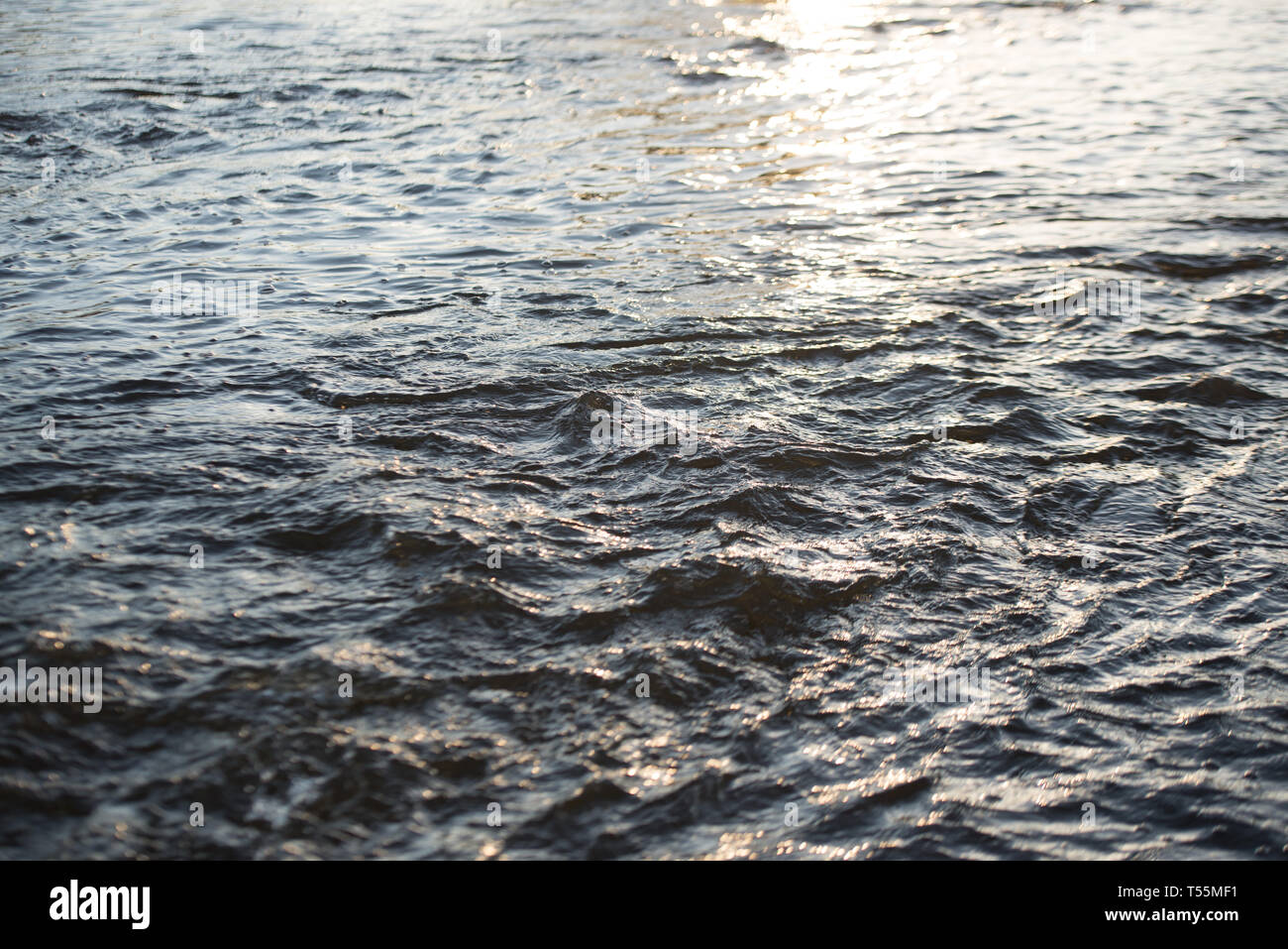 Rough water stream. foamy water rough mountain river Stock Photo - Alamy