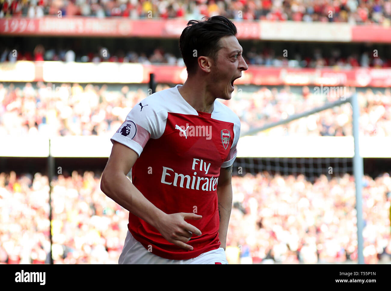 Ozil Arsenal Celebration