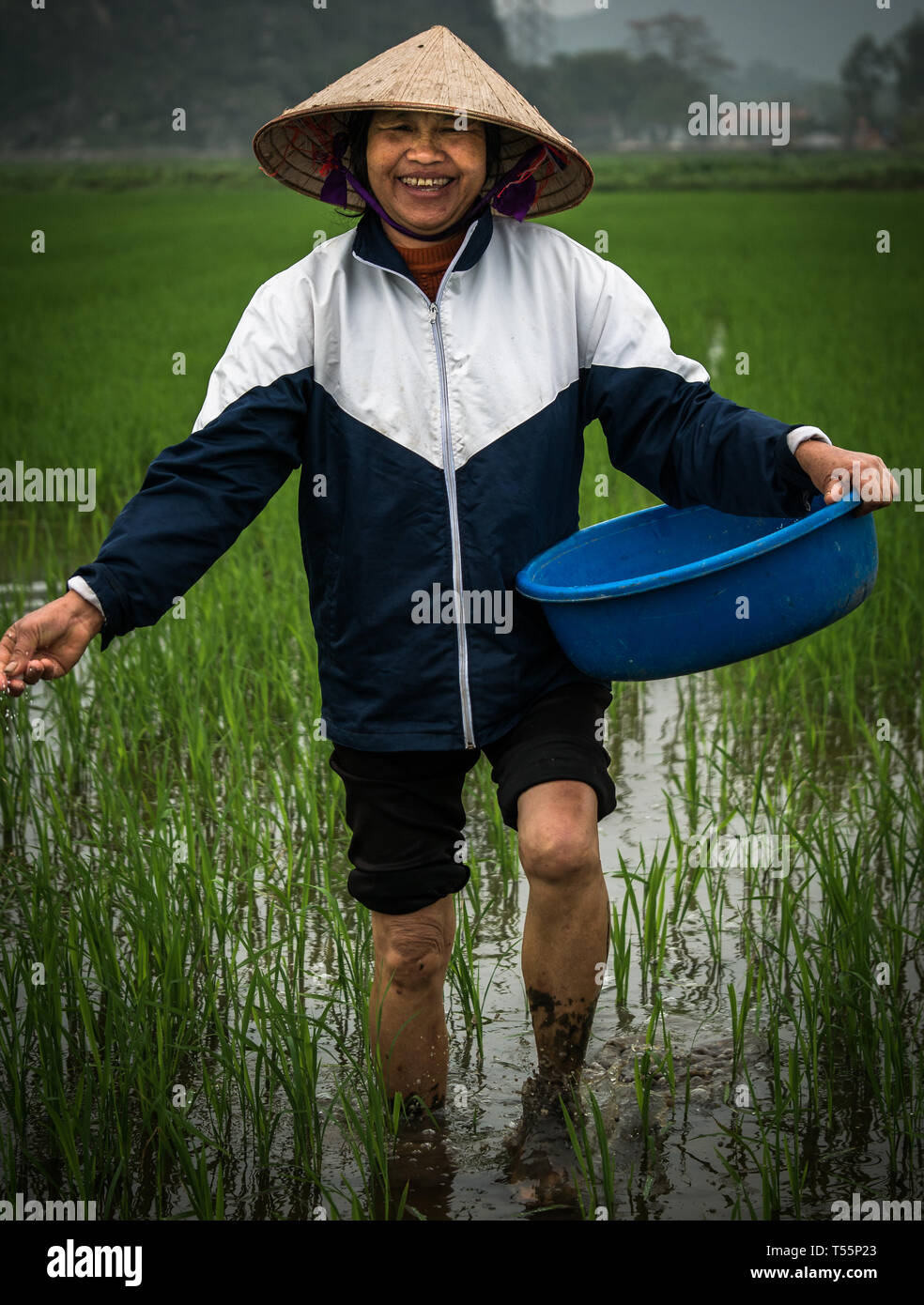 Wet Rice Agriculture