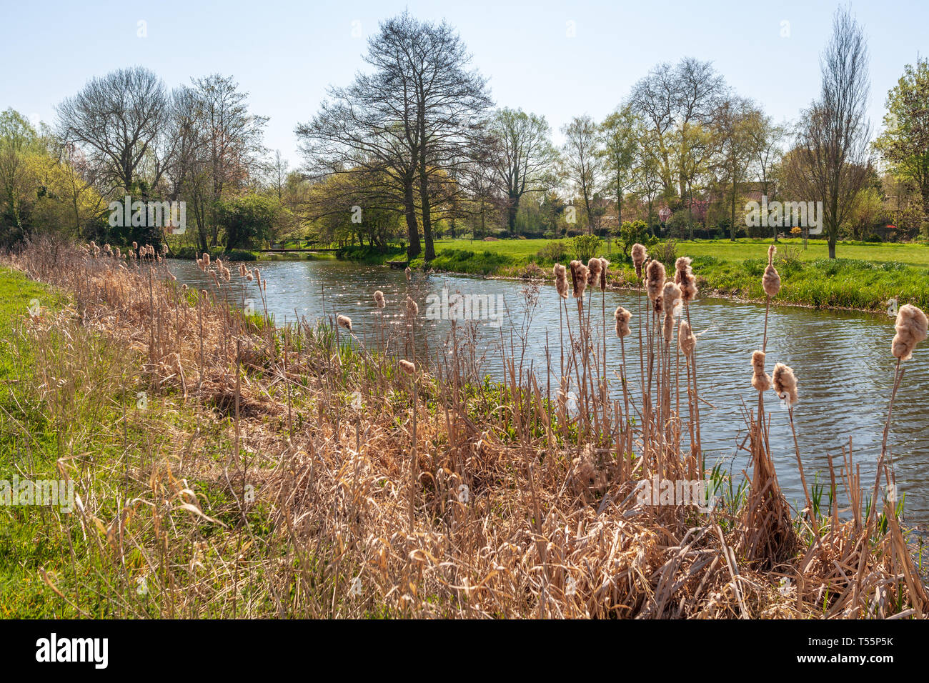 River waveney bungay suffolk hi-res stock photography and images - Alamy