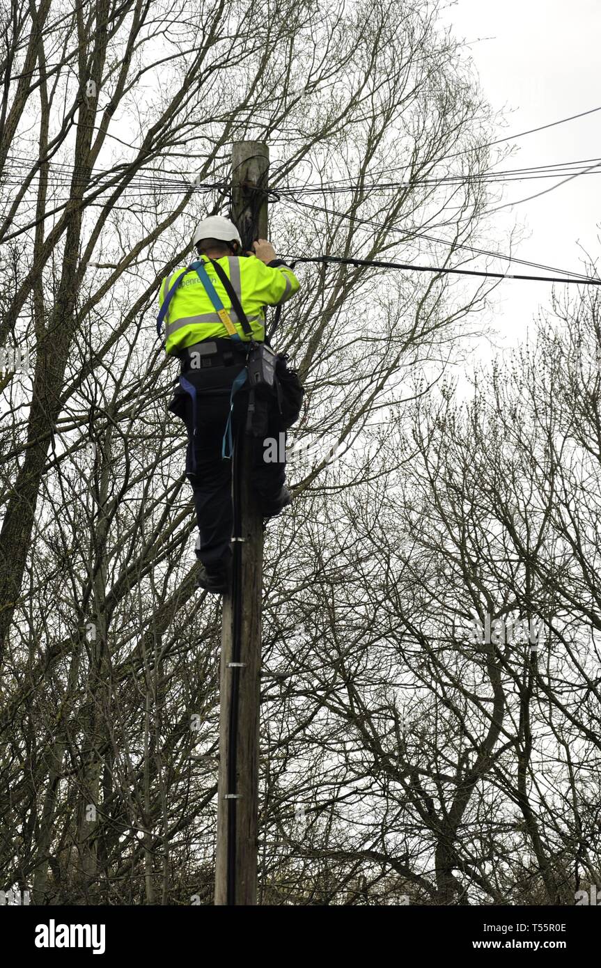 Openreach engineer working up telephone pole Stock Photo - Alamy