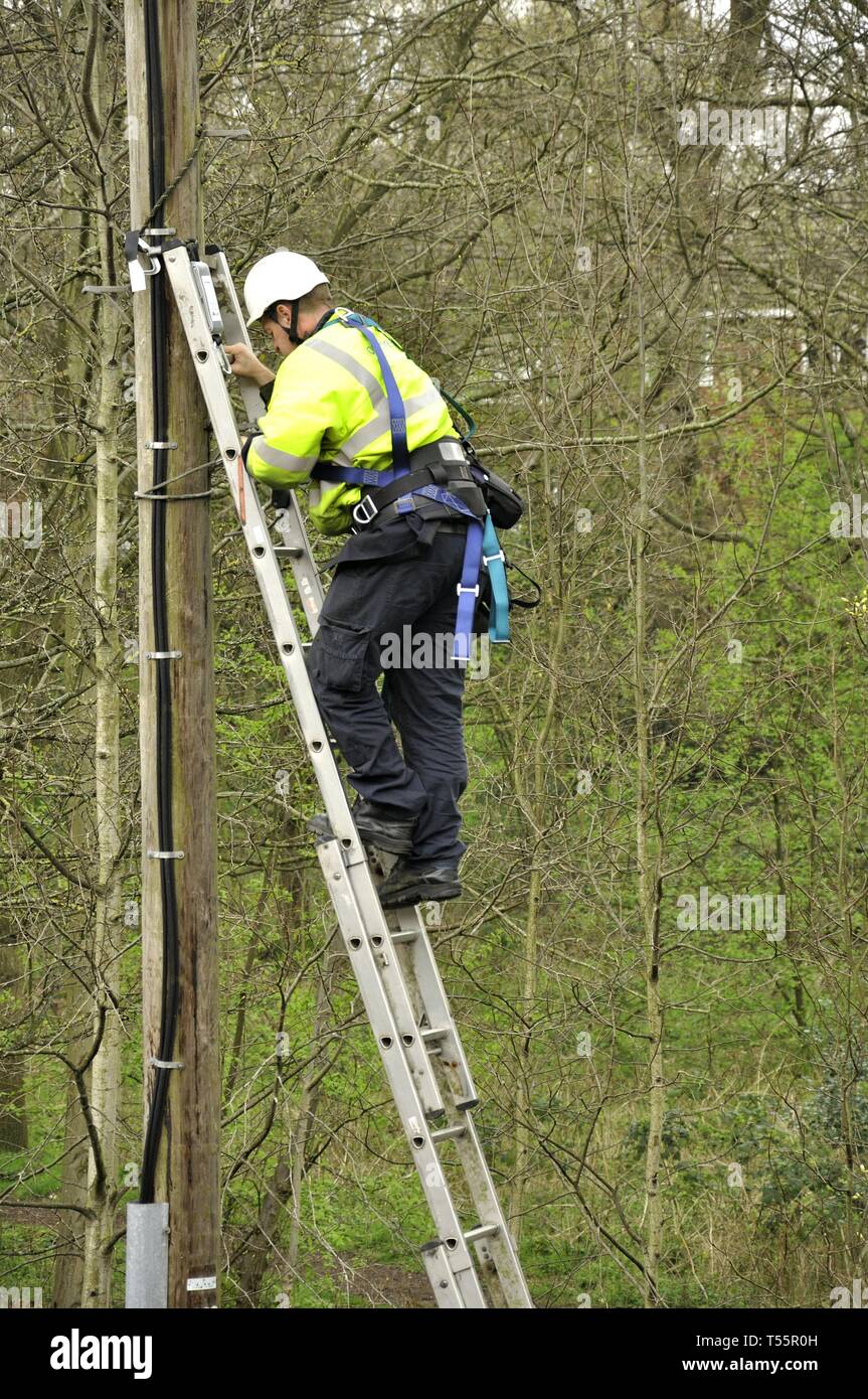 Telephone climbing rungs hi-res stock photography and images - Alamy