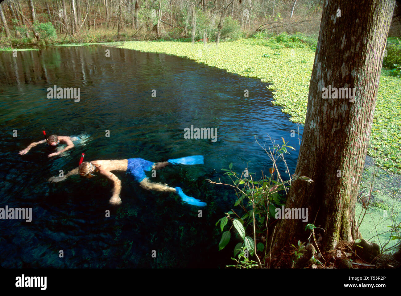 Blue Hole Spring Florida