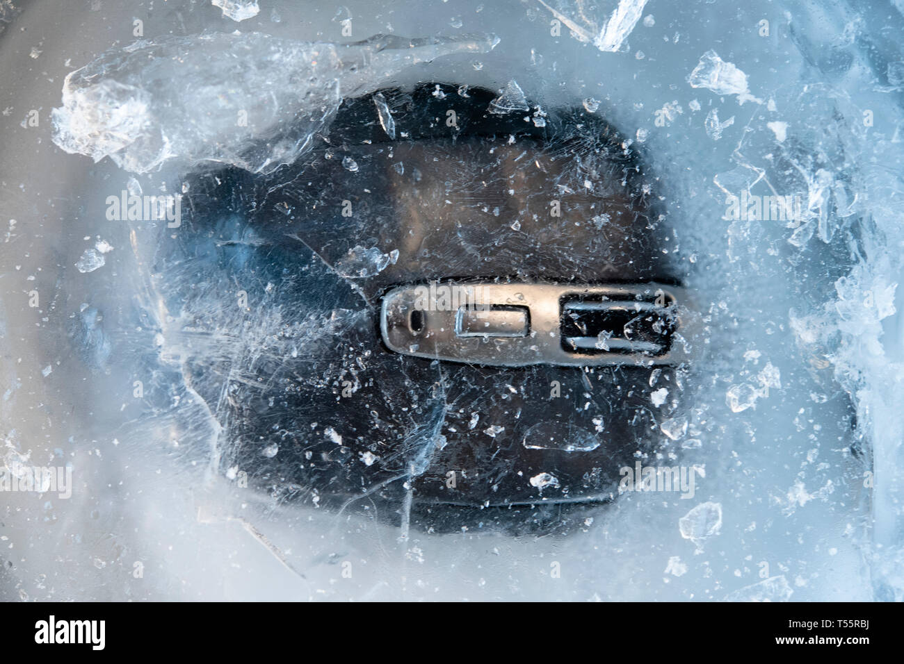 Computer mouse in ice Stock Photo - Alamy