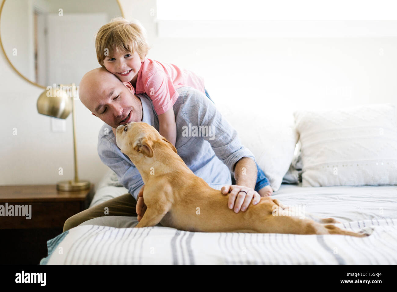 Father and son on bed with their dog Stock Photo - Alamy