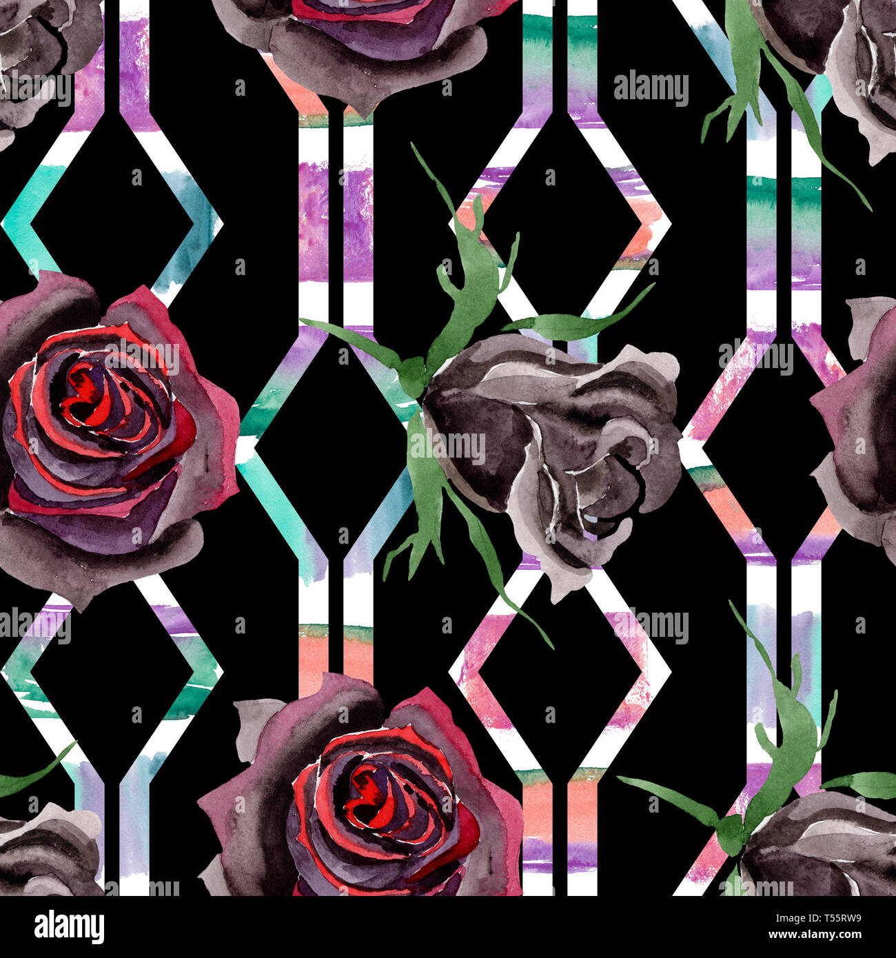 Black rose floral botanical flowers. Watercolor background illustration ...