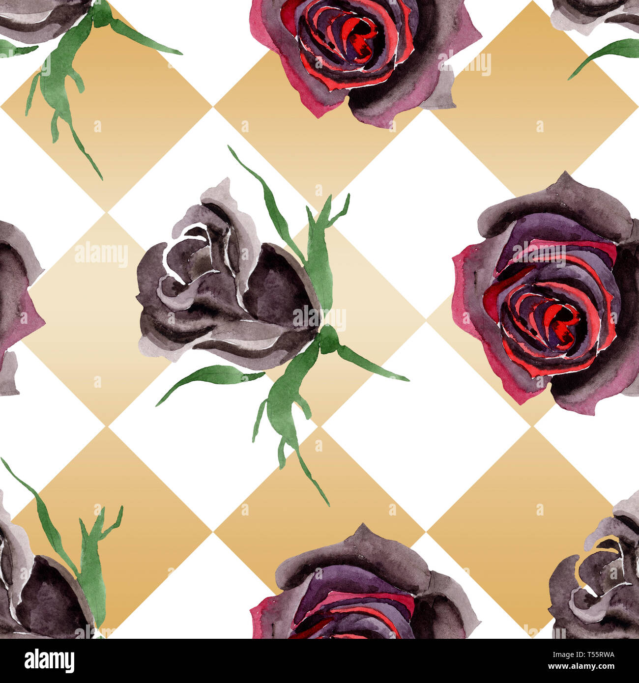 Black rose floral botanical flowers. Watercolor background illustration ...