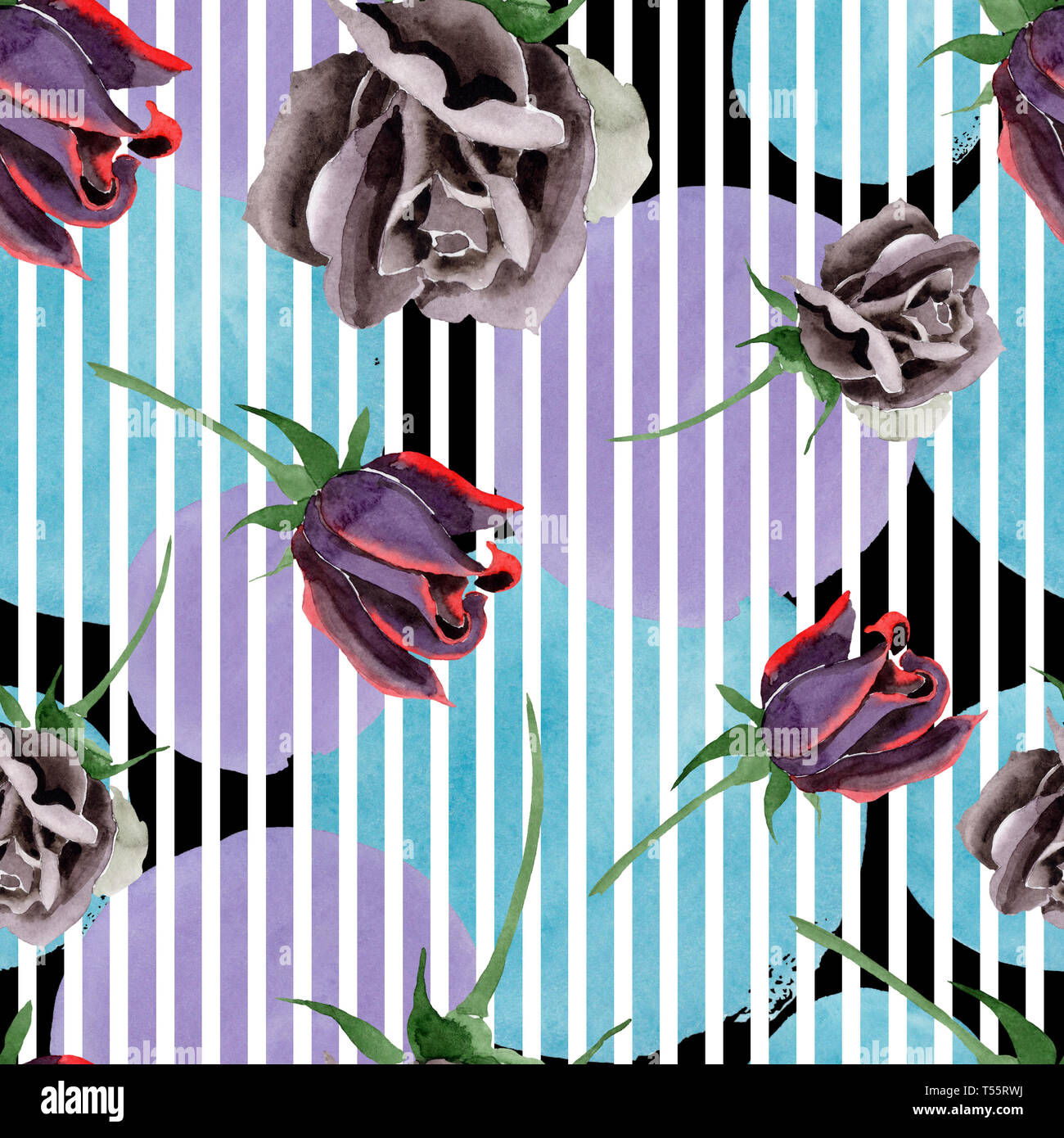 Black rose floral botanical flowers. Watercolor background illustration ...