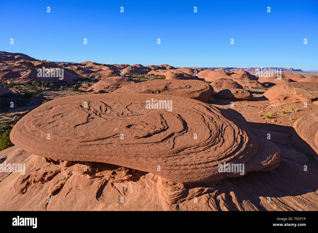 Tribal image hi-res stock photography and images - Alamy