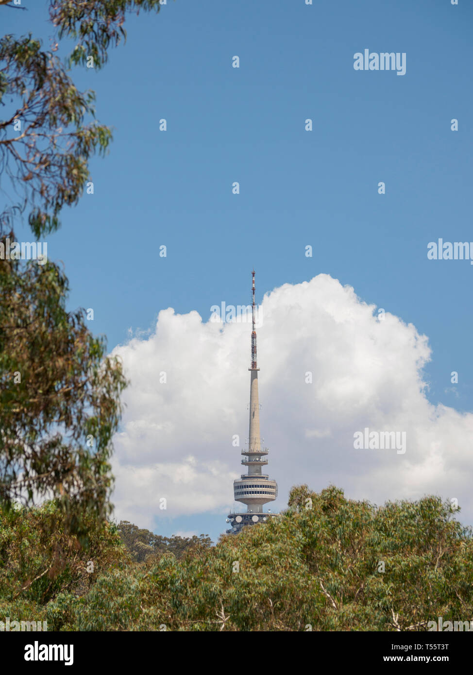 Telstra Tower behind trees in Canberra, Australia Stock Photo - Alamy