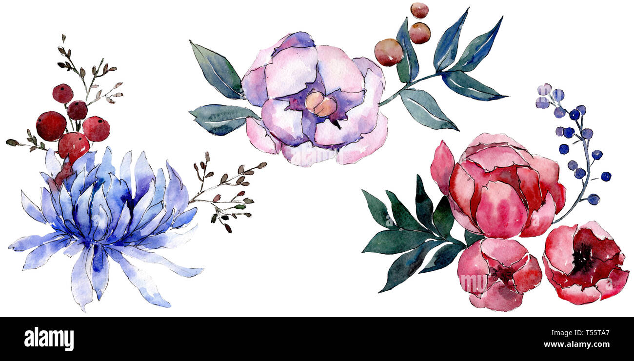 Bouquet floral botanical flowers. Watercolor background illustration ...