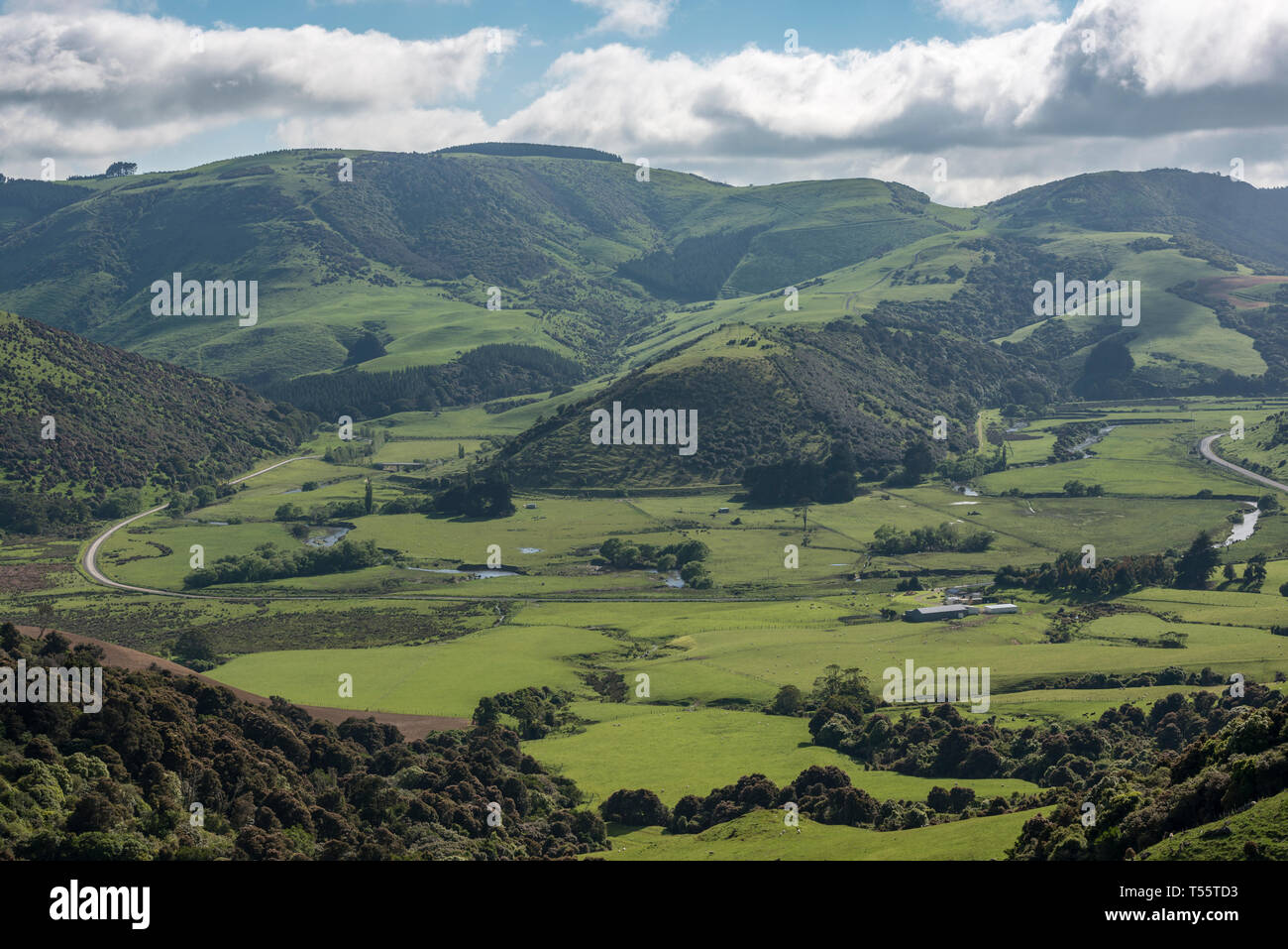 Rural landscape in Tawanui, New Zealand Stock Photo - Alamy