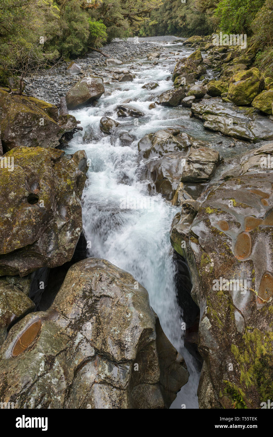 River over rocks in Milford Sound, New Zealand Stock Photo - Alamy