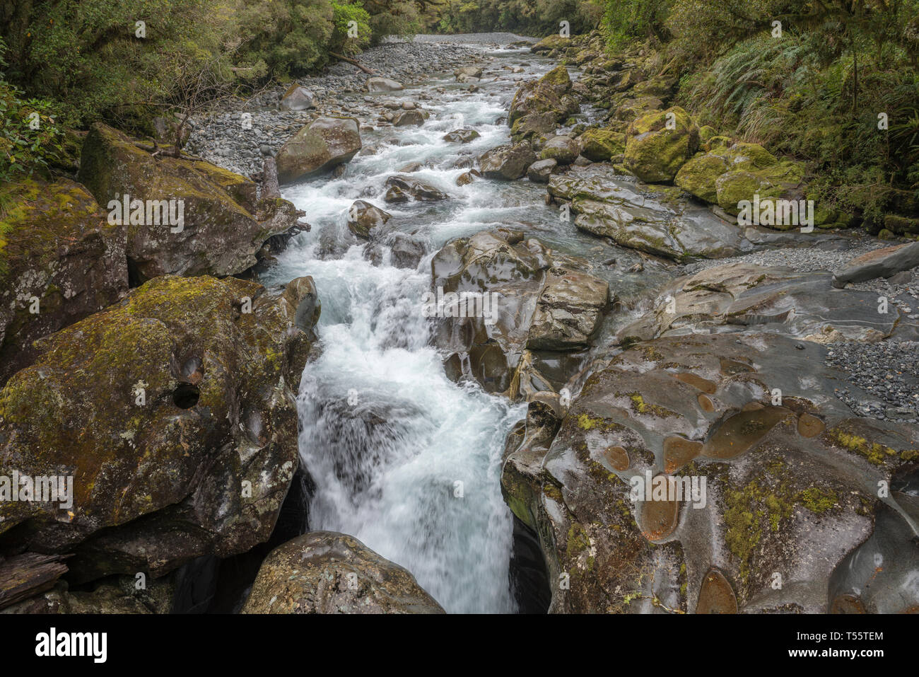 River over rocks in Milford Sound, New Zealand Stock Photo - Alamy