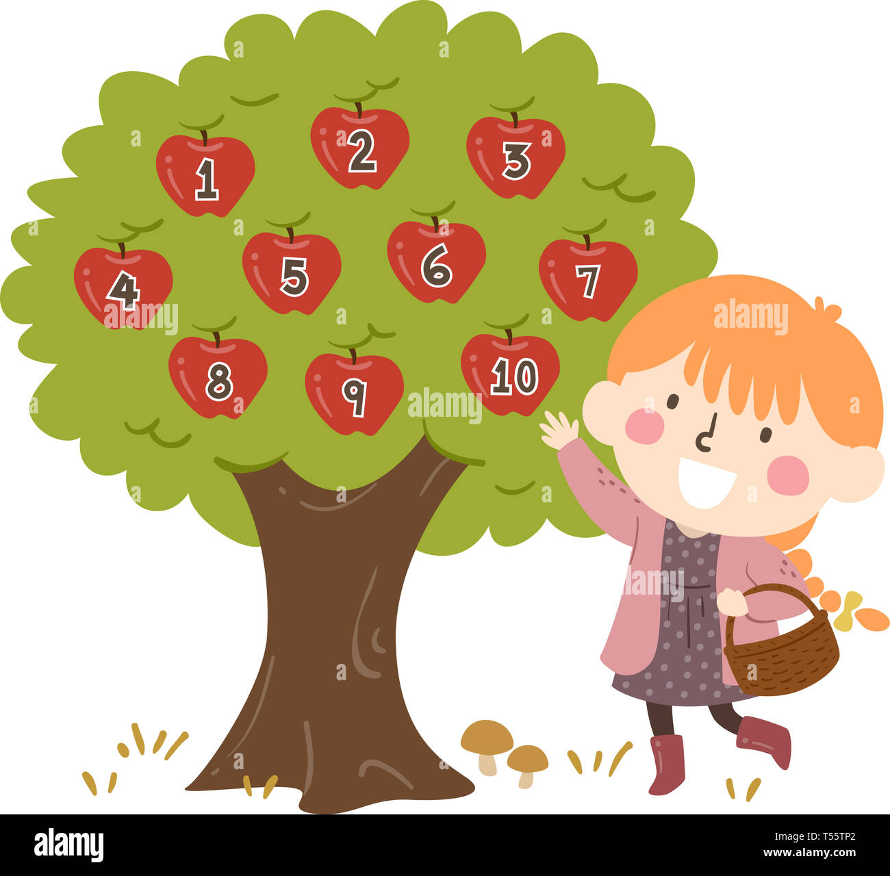 Illustration of two apples hi-res stock photography and images - Alamy