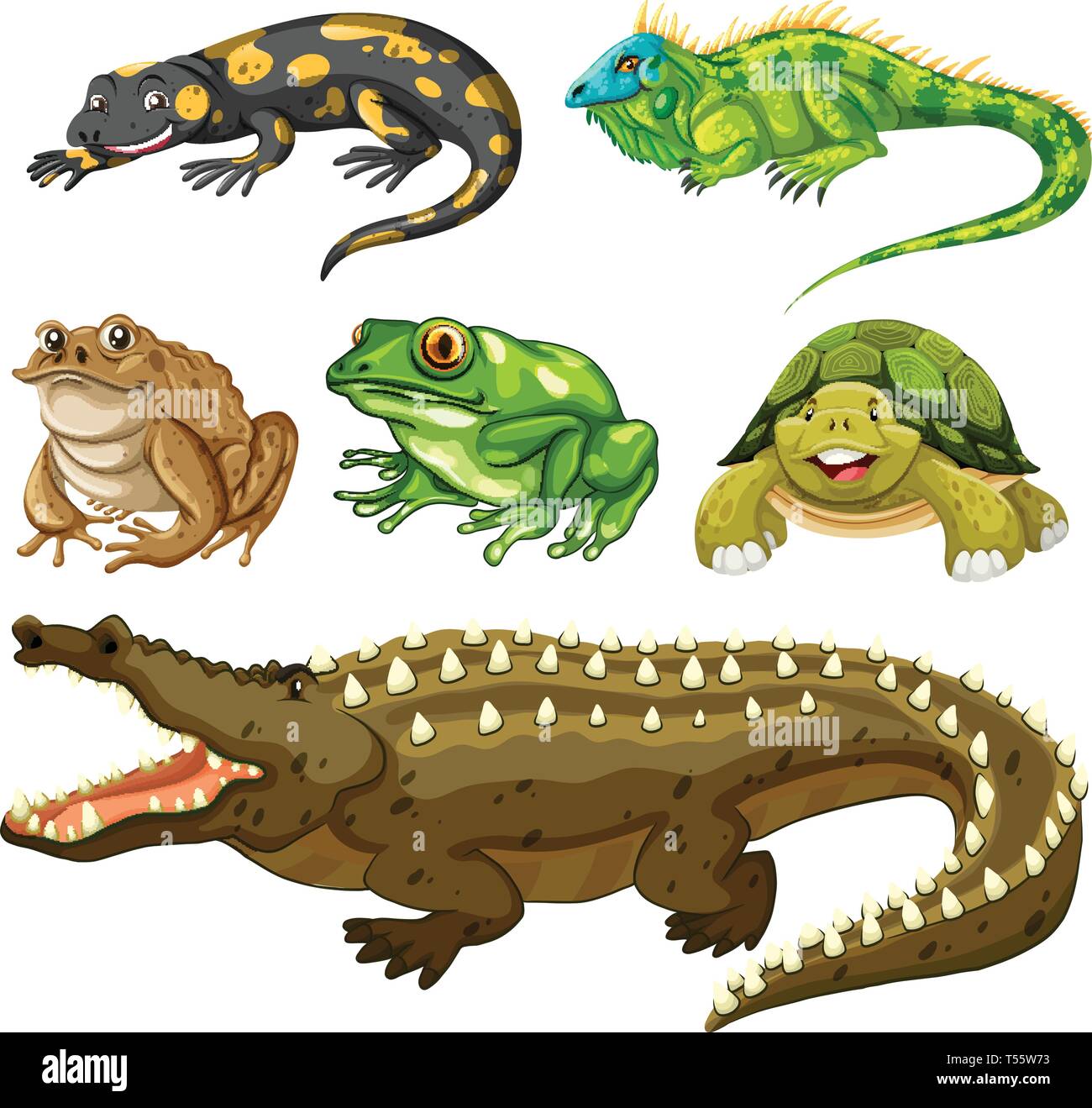 Reptile Animal Stock Vector Images - Alamy