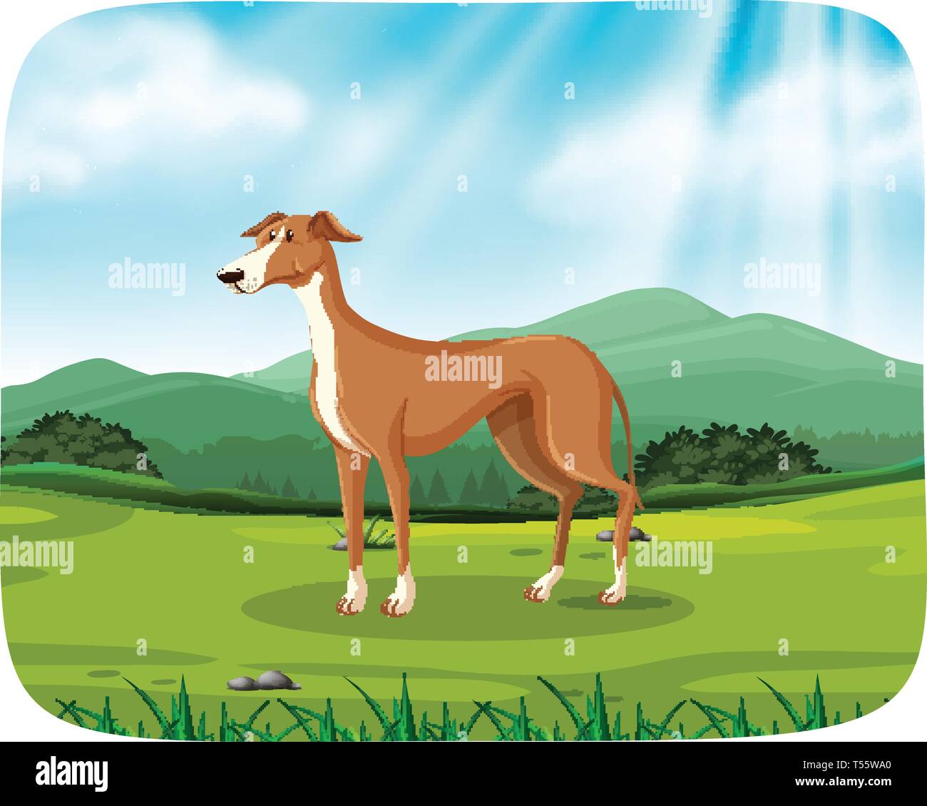 Dog in nature scene illustration Stock Vector Image & Art - Alamy
