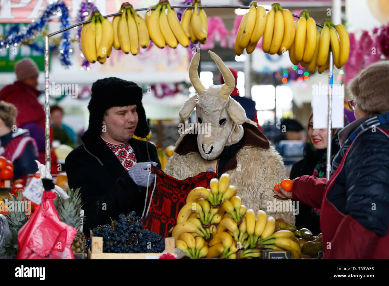 Belarus, Gomel, January 13, 2017.Man in a goat costume for the old New ...