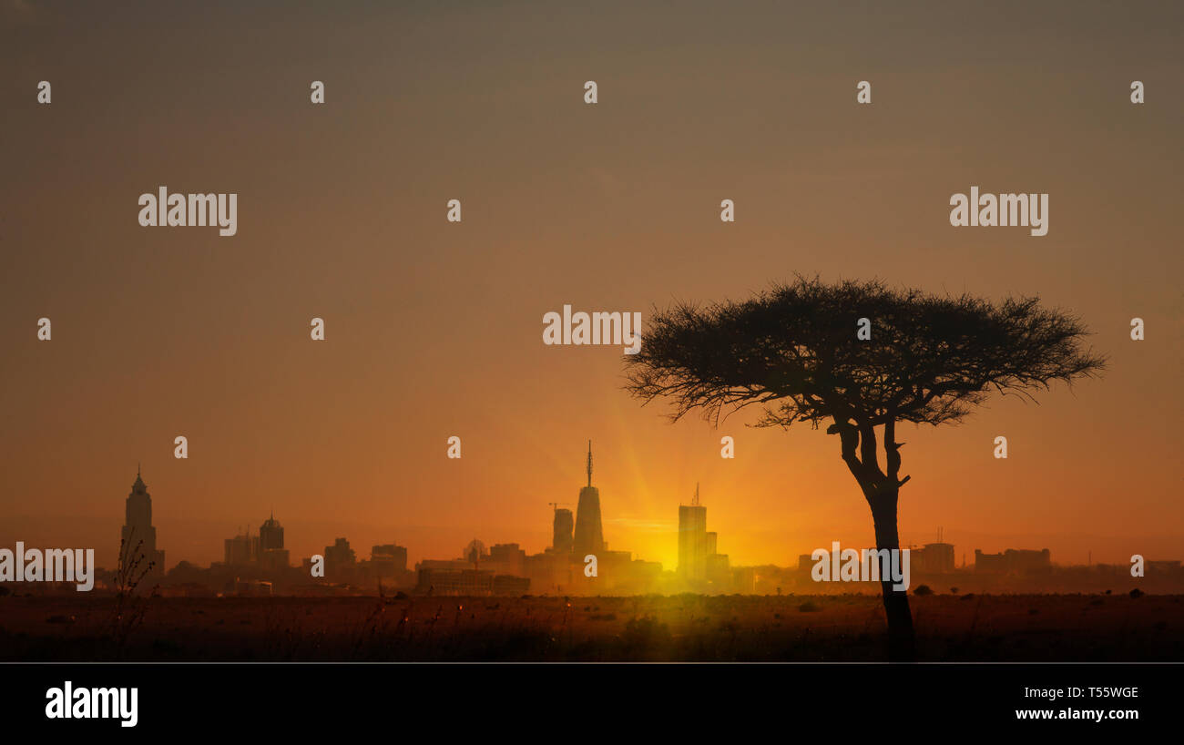 Nairobi skyline hi-res stock photography and images - Alamy
