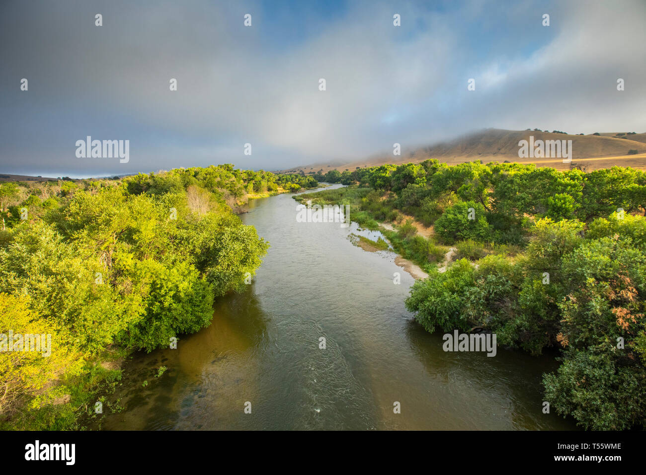 Treelined river in Paso Robles, California, USA Stock Photo - Alamy