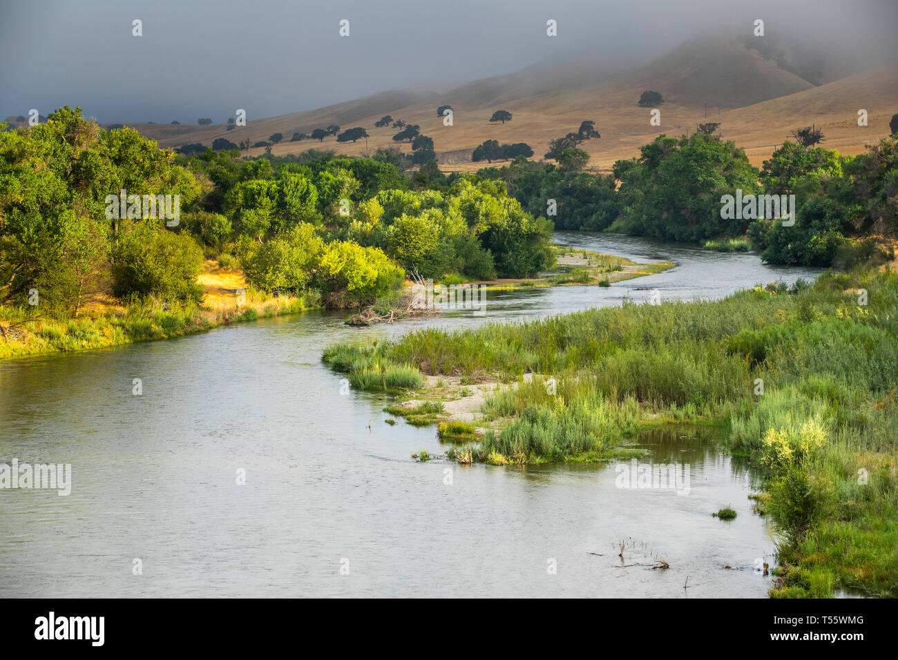 Treelined river hi-res stock photography and images - Alamy