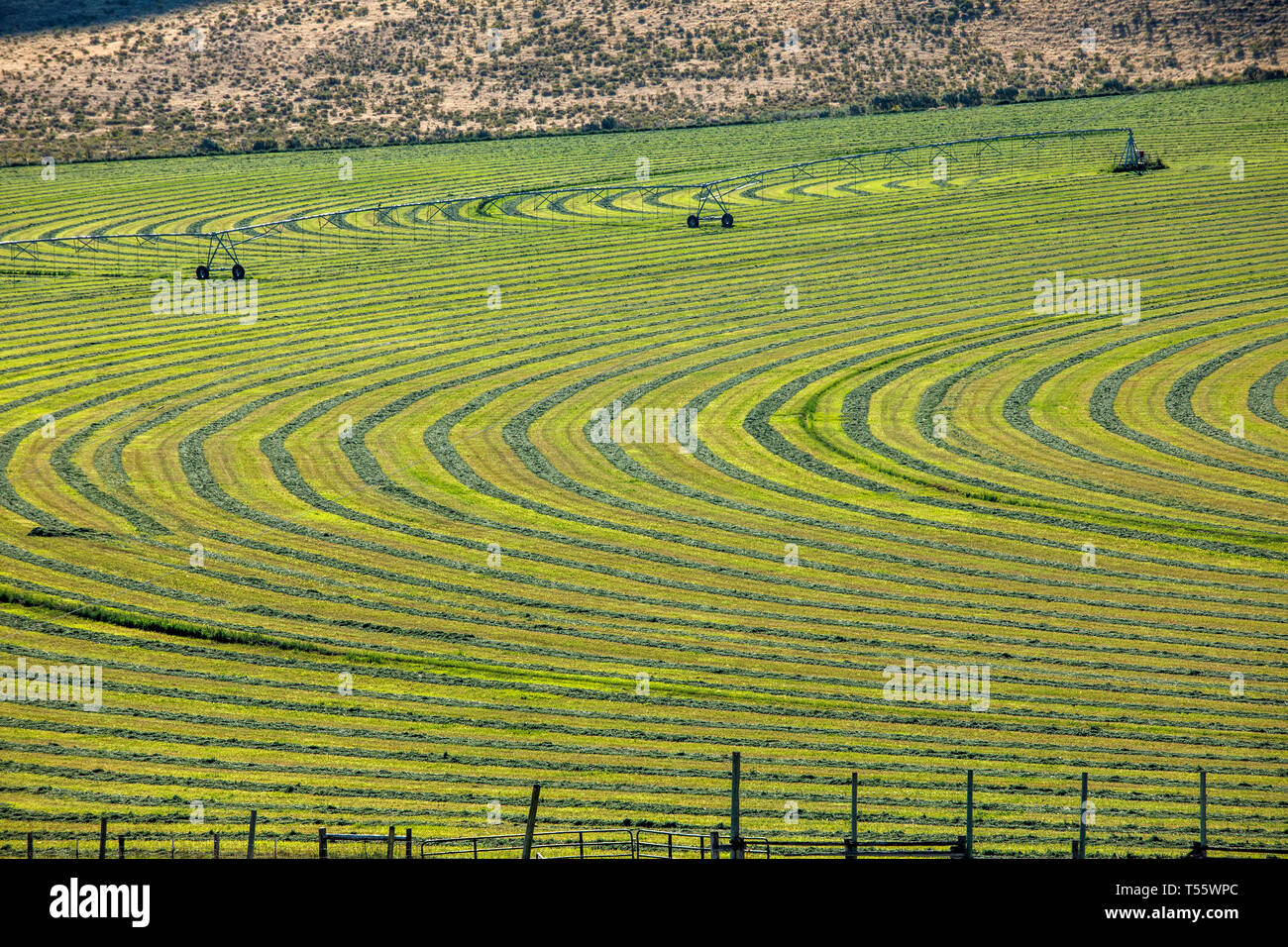 Field usa circle hi-res stock photography and images - Alamy