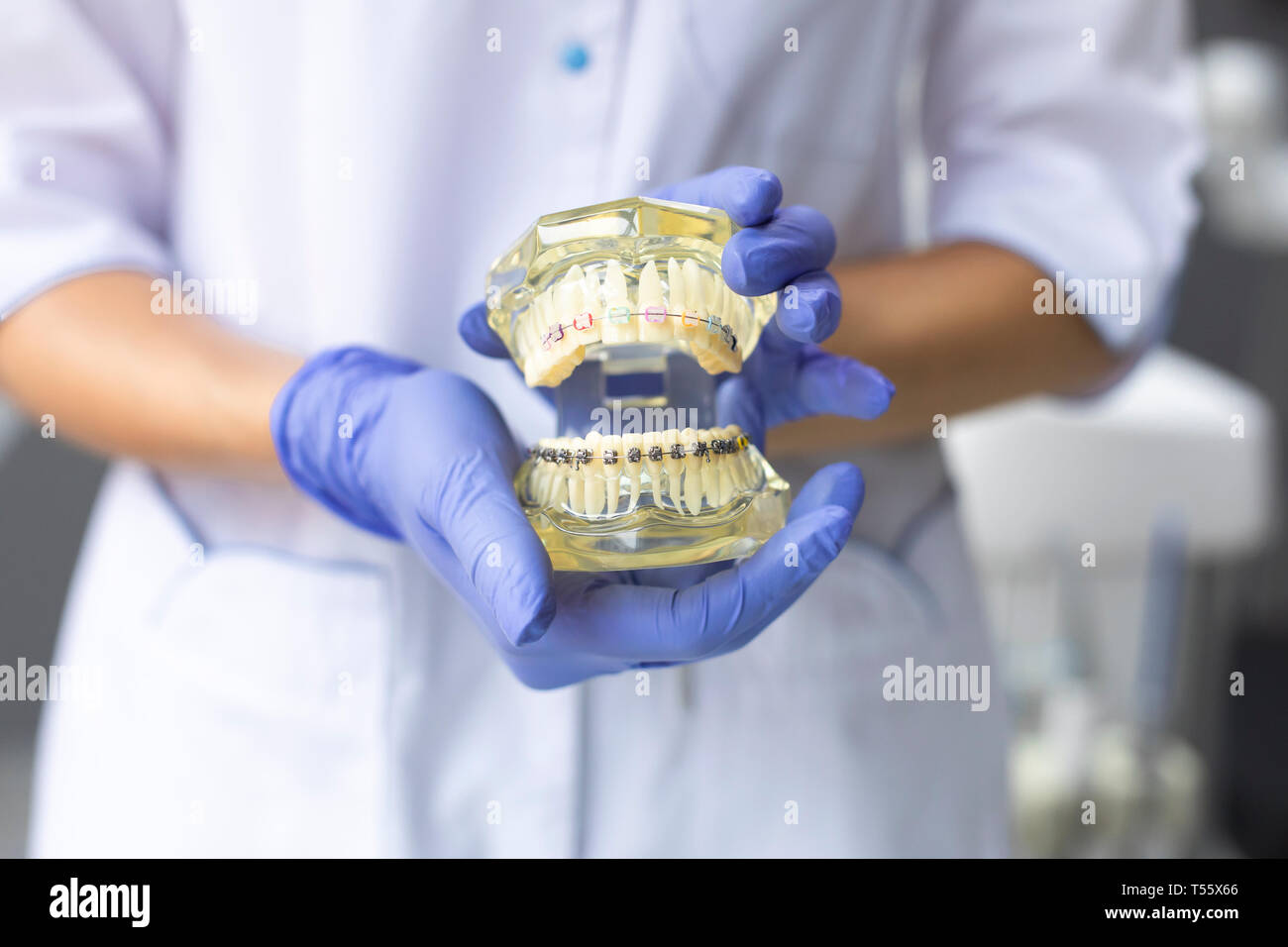 Dental assistant holding model teeth with braces Stock Photo - Alamy