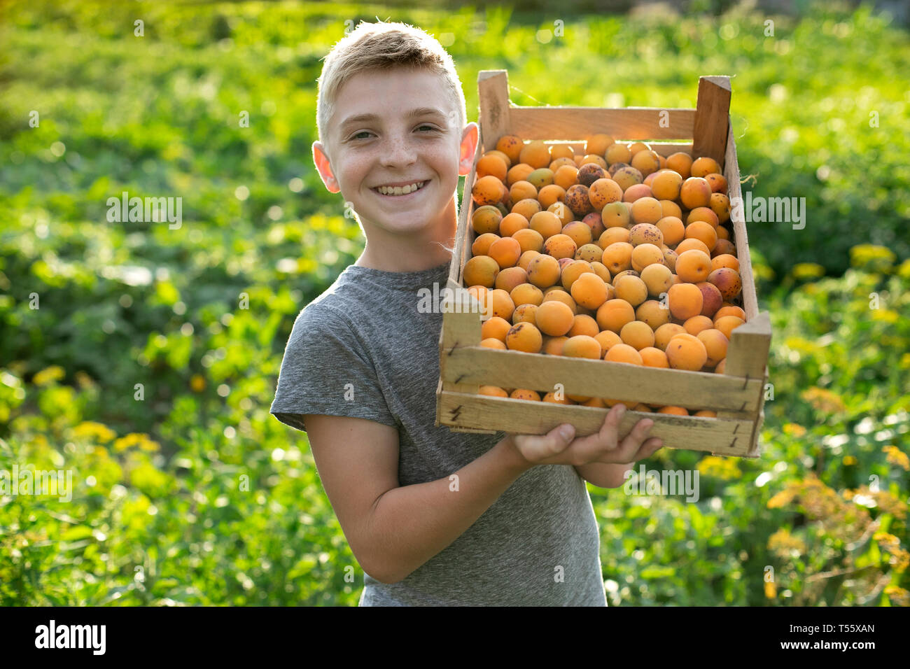 Boy holding fruit crate hi-res stock photography and images - Alamy