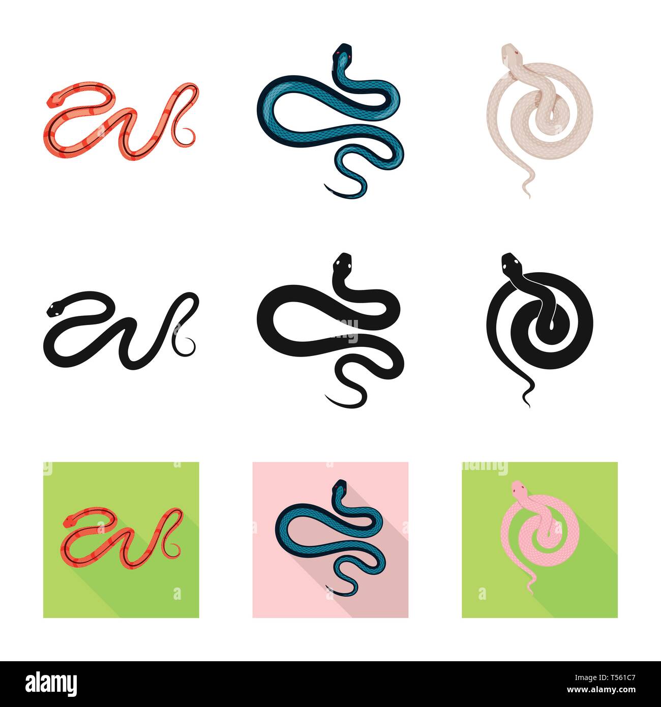 snake,amphibian,viper,tail,anaconda,white,spiral,animal,brazil,cobra ...