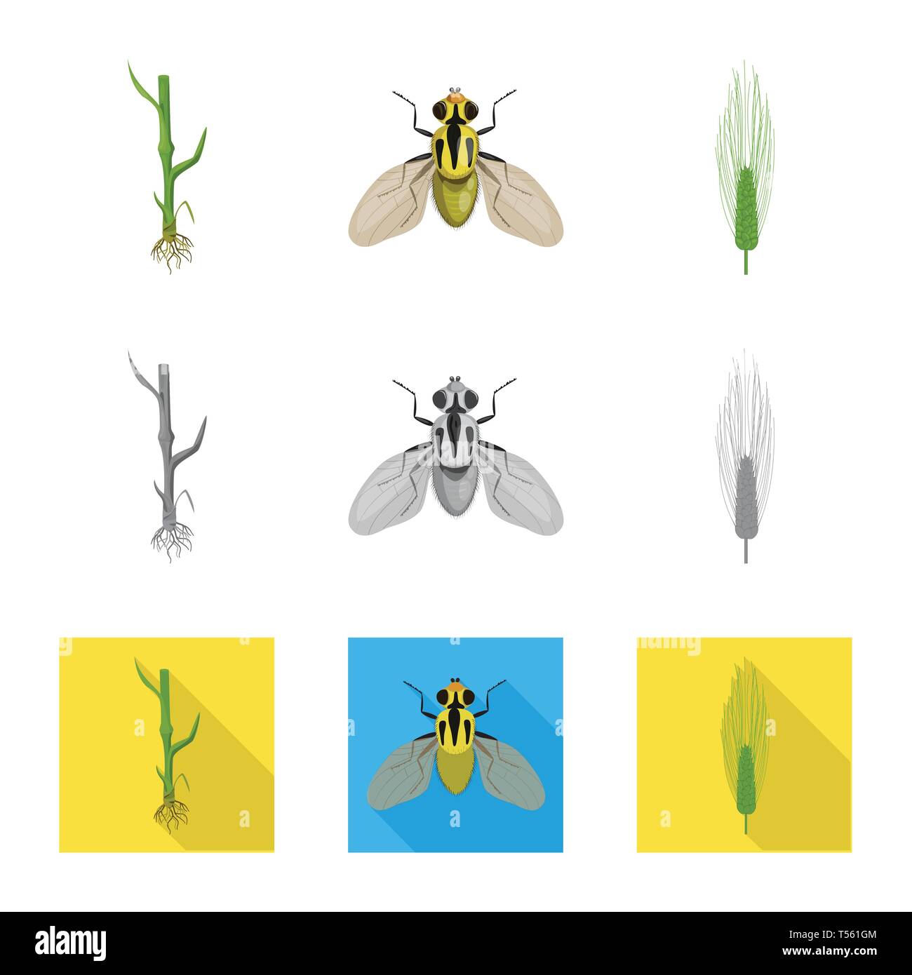 stem,fly,barley,root,insect,pest,winter,soil,control,spring,seed,stop ...