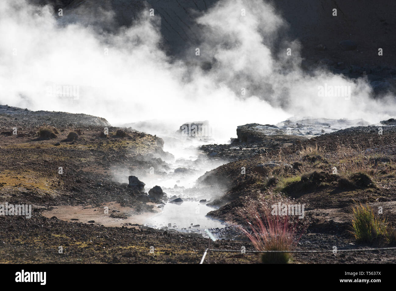 Iceland geothermal. Namafjall - area in field of Hverir. Landscape ...