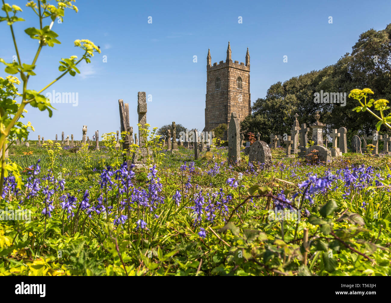 Bluebells in the foreground overlooking the old graveyard of the church ...