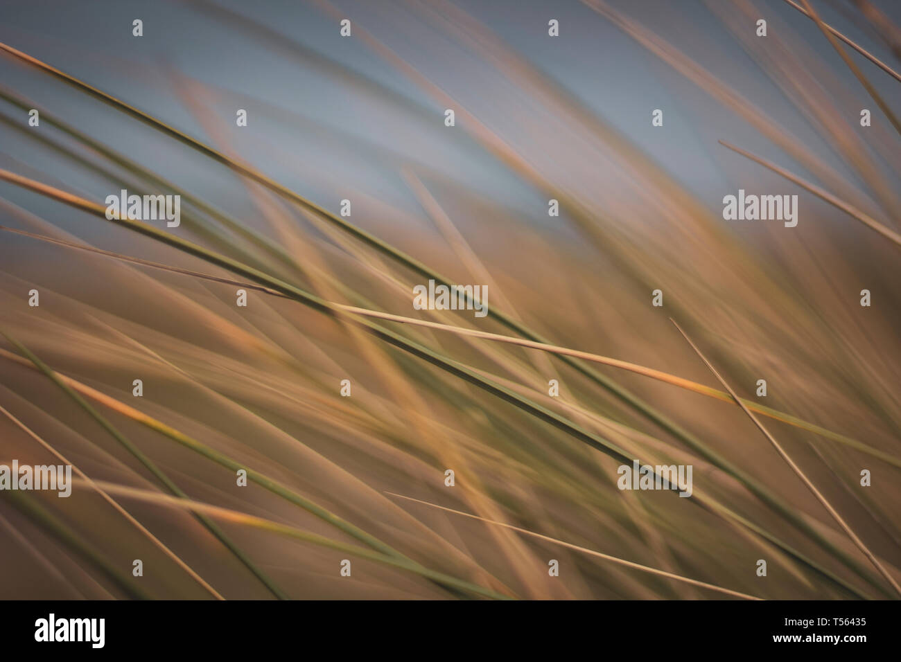 Ireland farm fields hi-res stock photography and images - Alamy