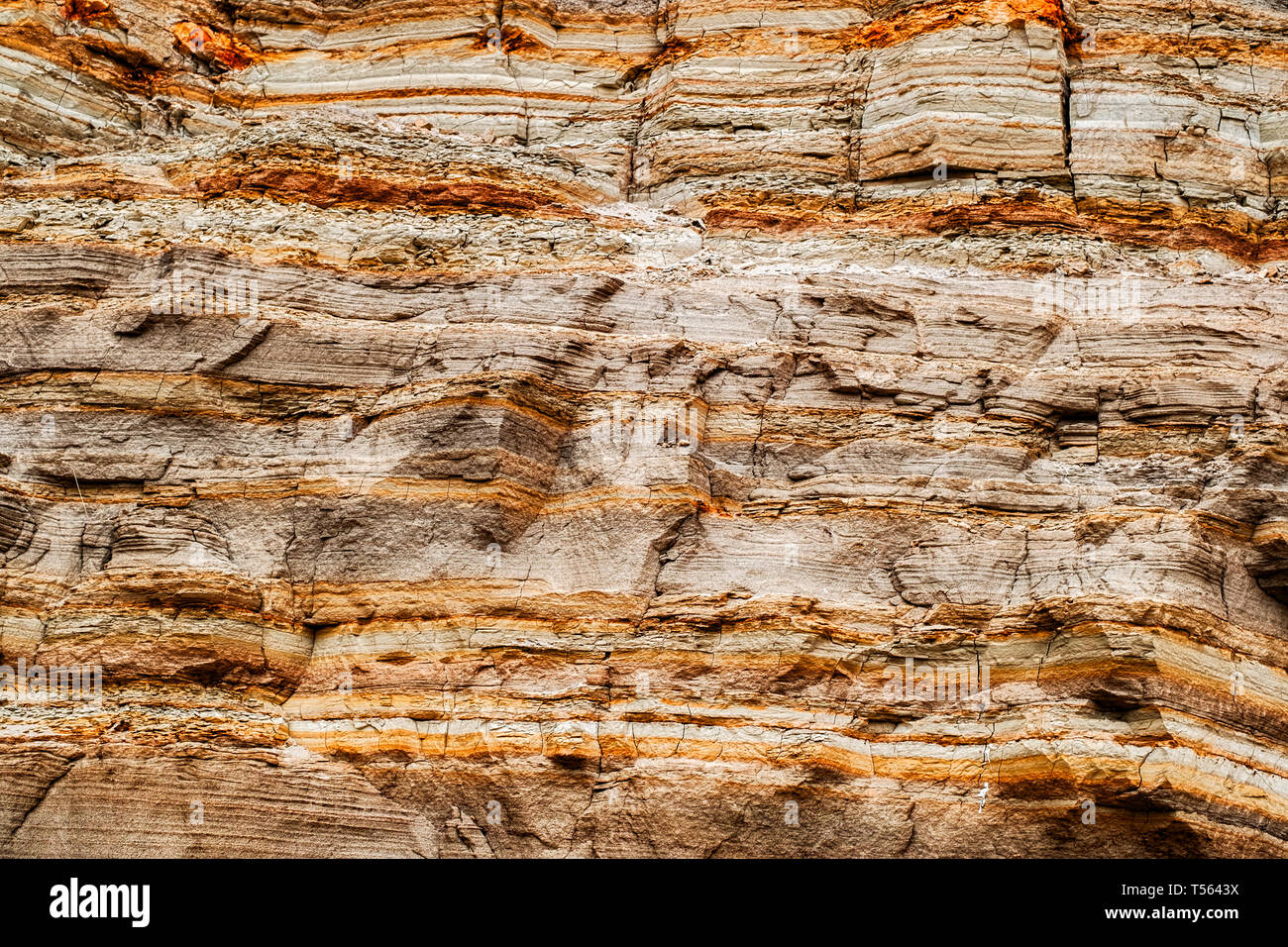 Soil Layers Plants High Resolution Stock Photography and Images - Alamy