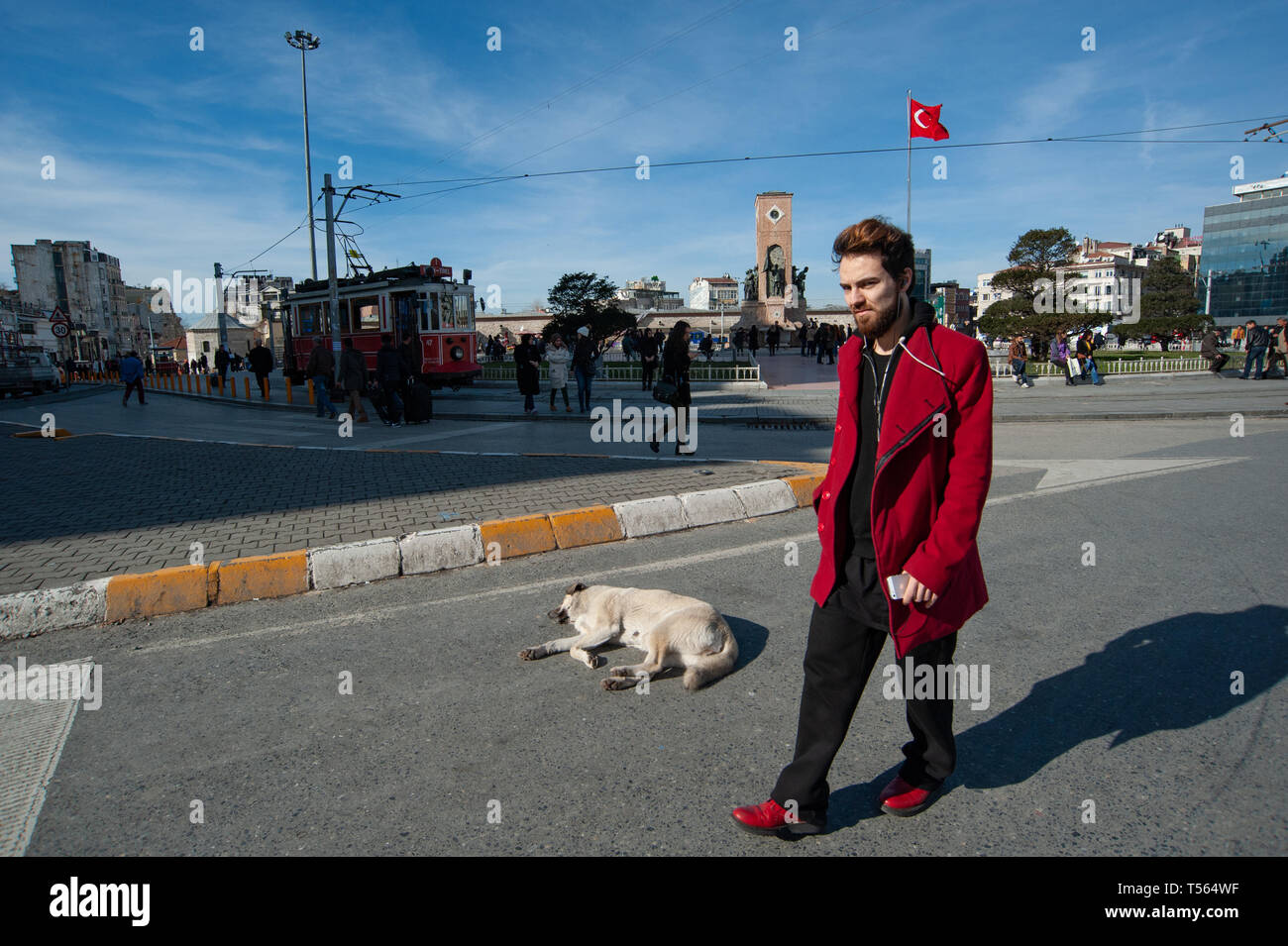 The Fat and Lazy Street Dogs of Istanbul, Turkey Stock Photo - Alamy