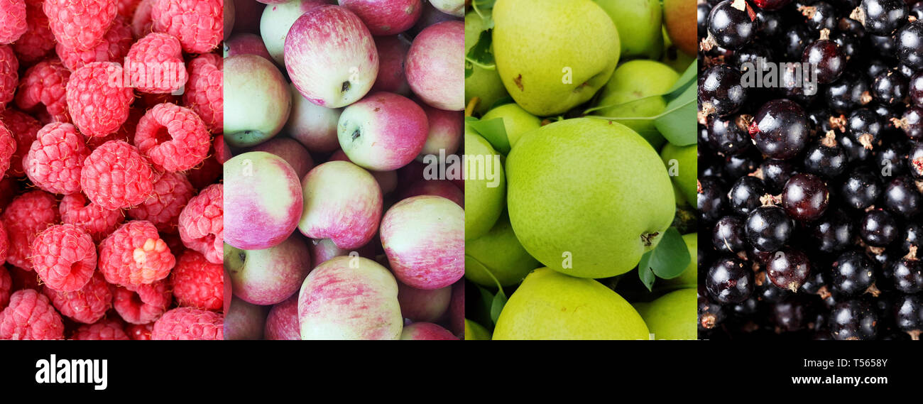 different ripe fruits. A set of close-up photos. well visible fruit ...