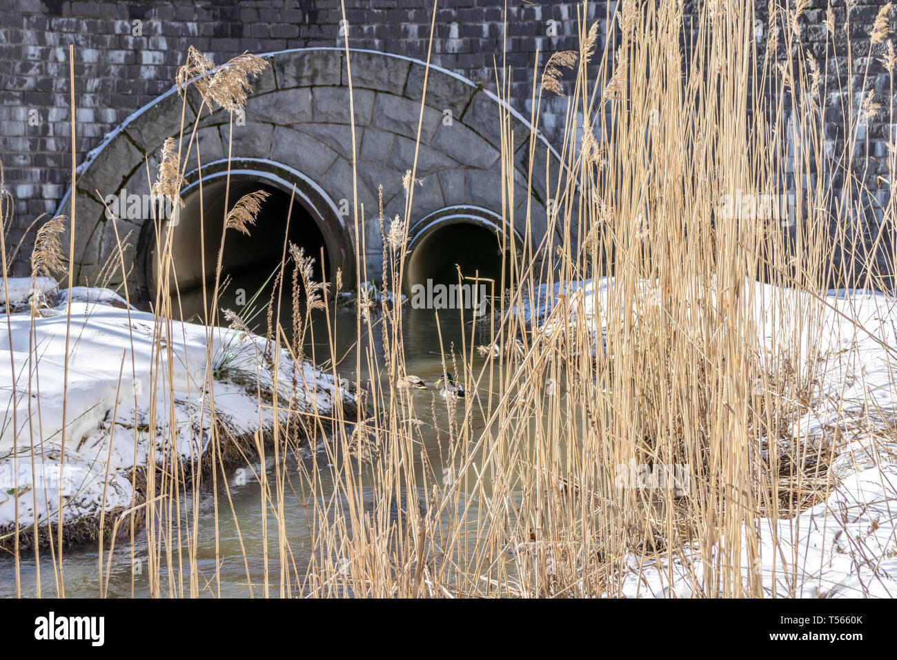 The channel for the removal of municipal wastewater in the form of ...