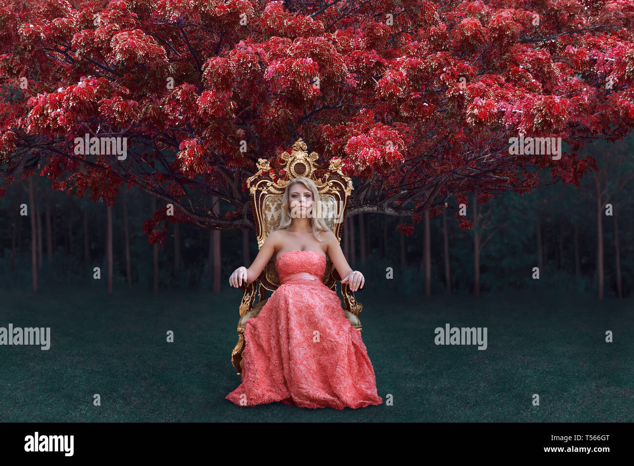 Fairy woman fantasy hi-res stock photography and images - Alamy