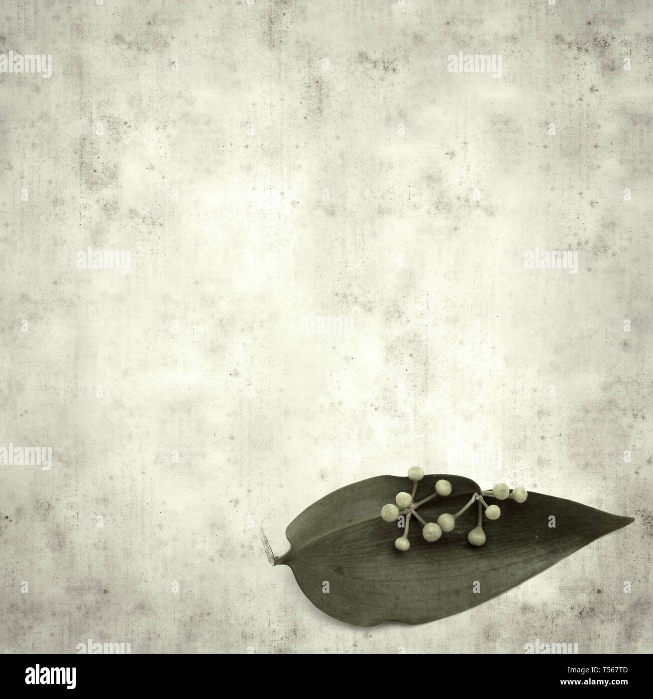 textured stylish old paper background, square, with dark green leaves ...