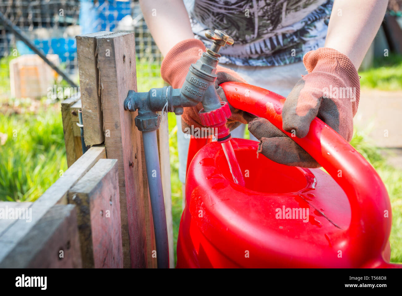 Girl filling hi-res stock photography and images - Alamy