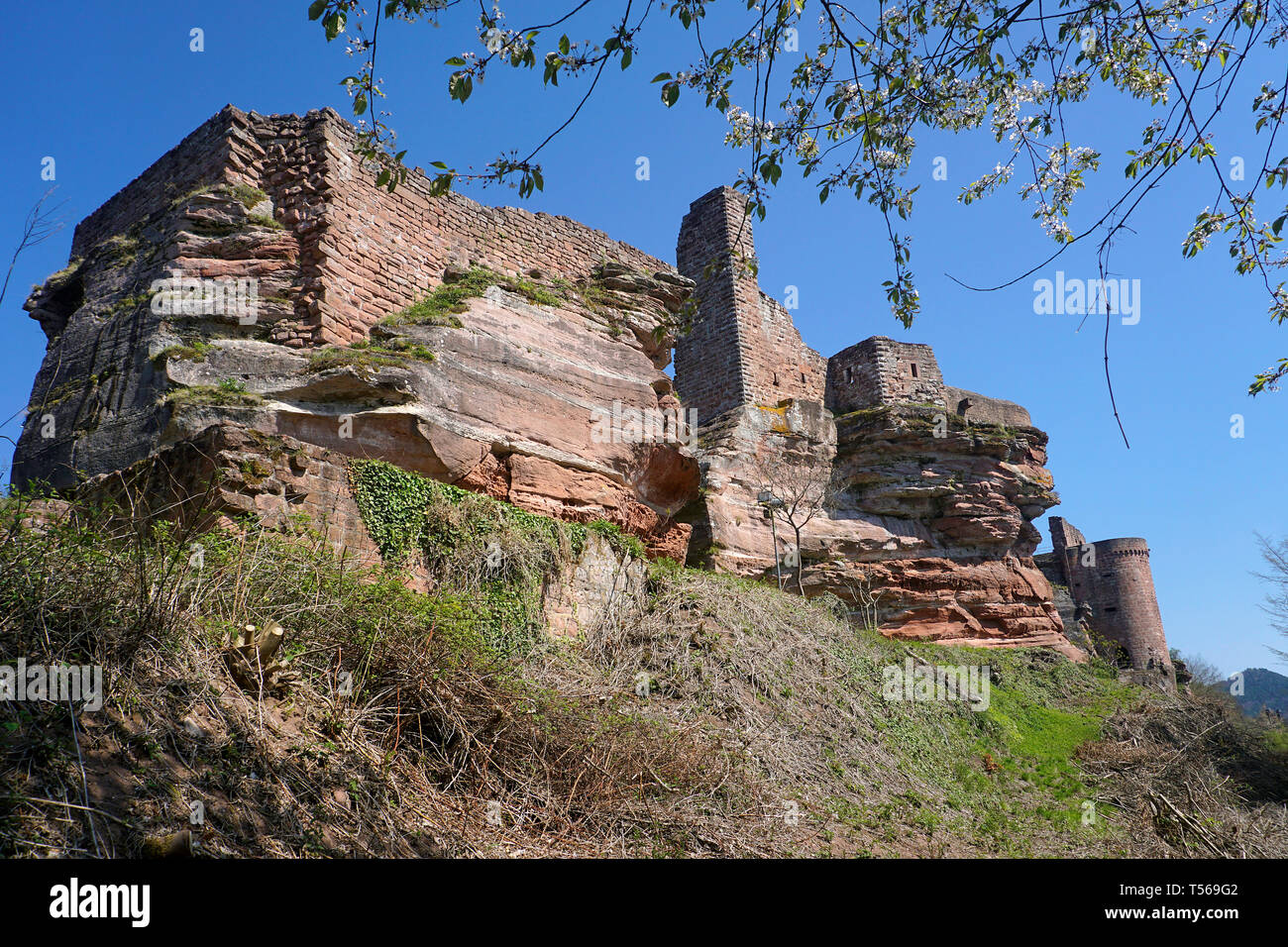 Ruins of rock castle Altdahn, a medieval fortress at village Dahn ...