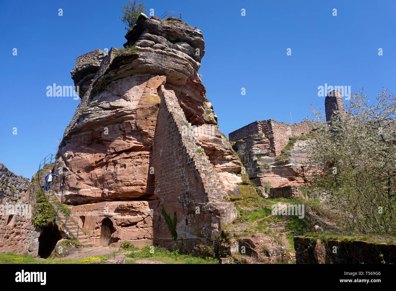Ruins of rock castle Altdahn, a medieval fortress at village Dahn ...