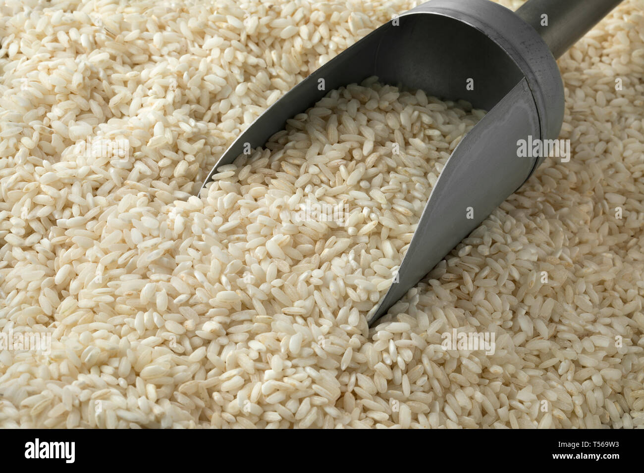 Scoop with Italian Carnaroli risotto rice full frame Stock Photo - Alamy