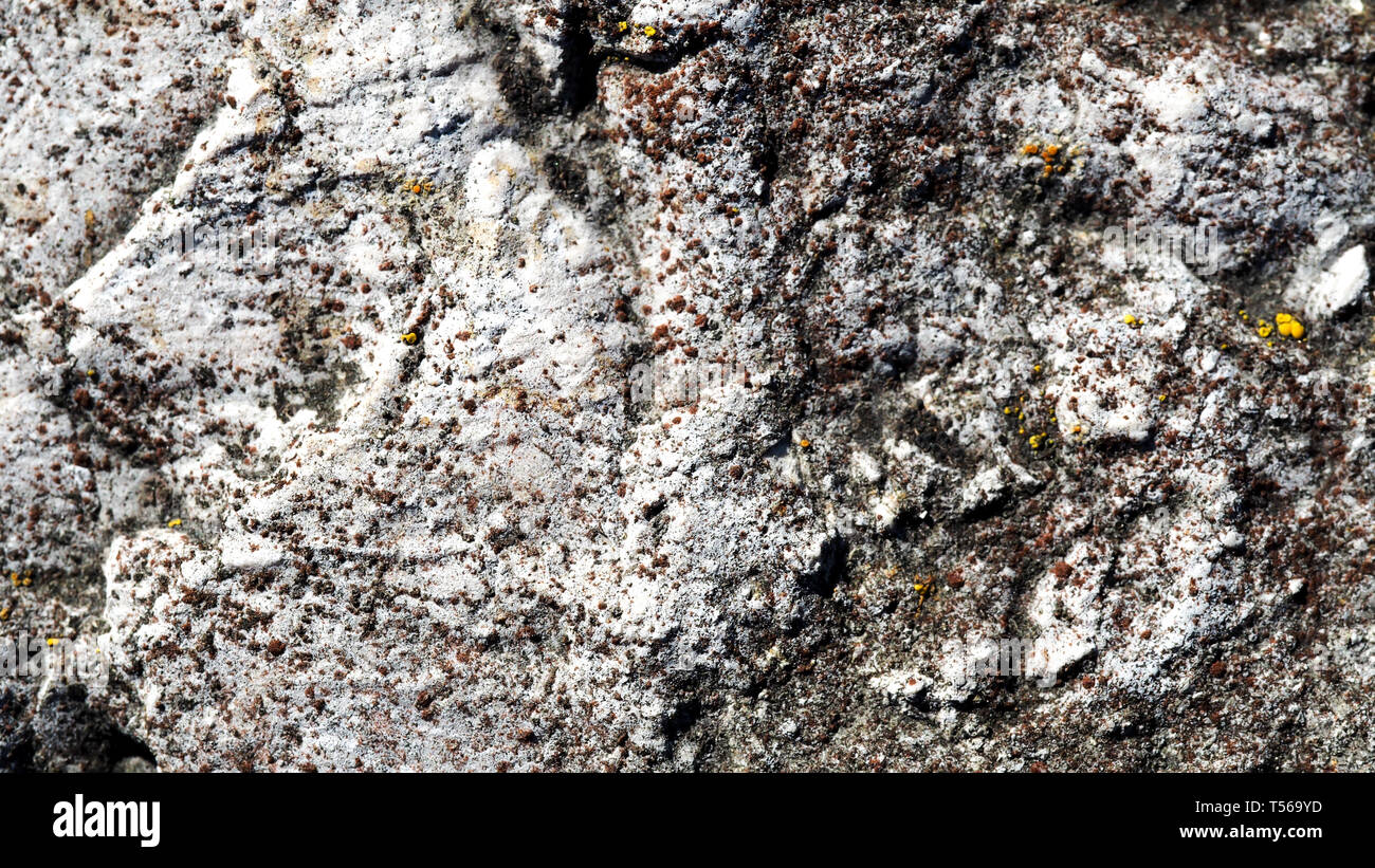 Surface of a rock hi-res stock photography and images - Alamy