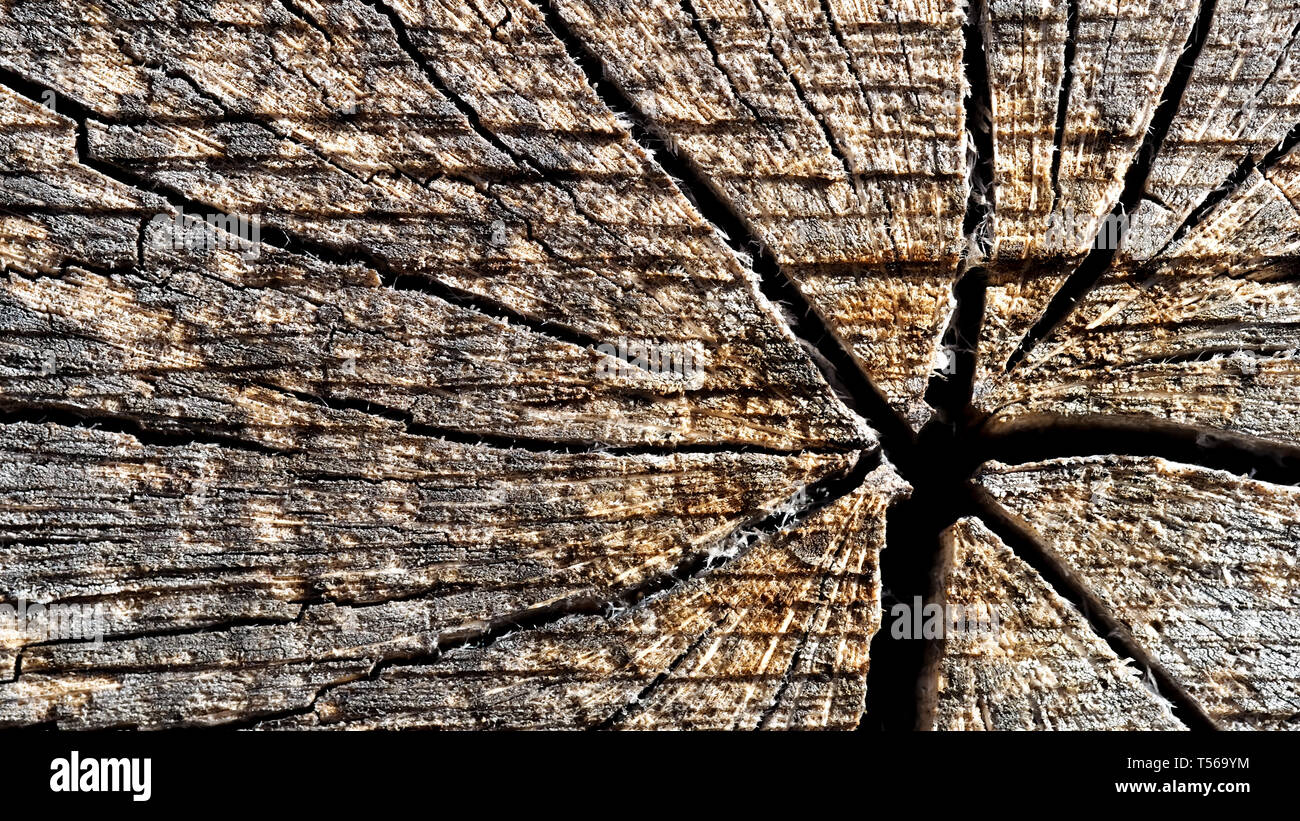 old silver grey sun bleached wood crest structure with naturally cracks ...