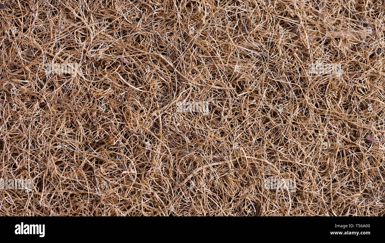 fine fibers of a surface structure of a coconut mat Stock Photo - Alamy
