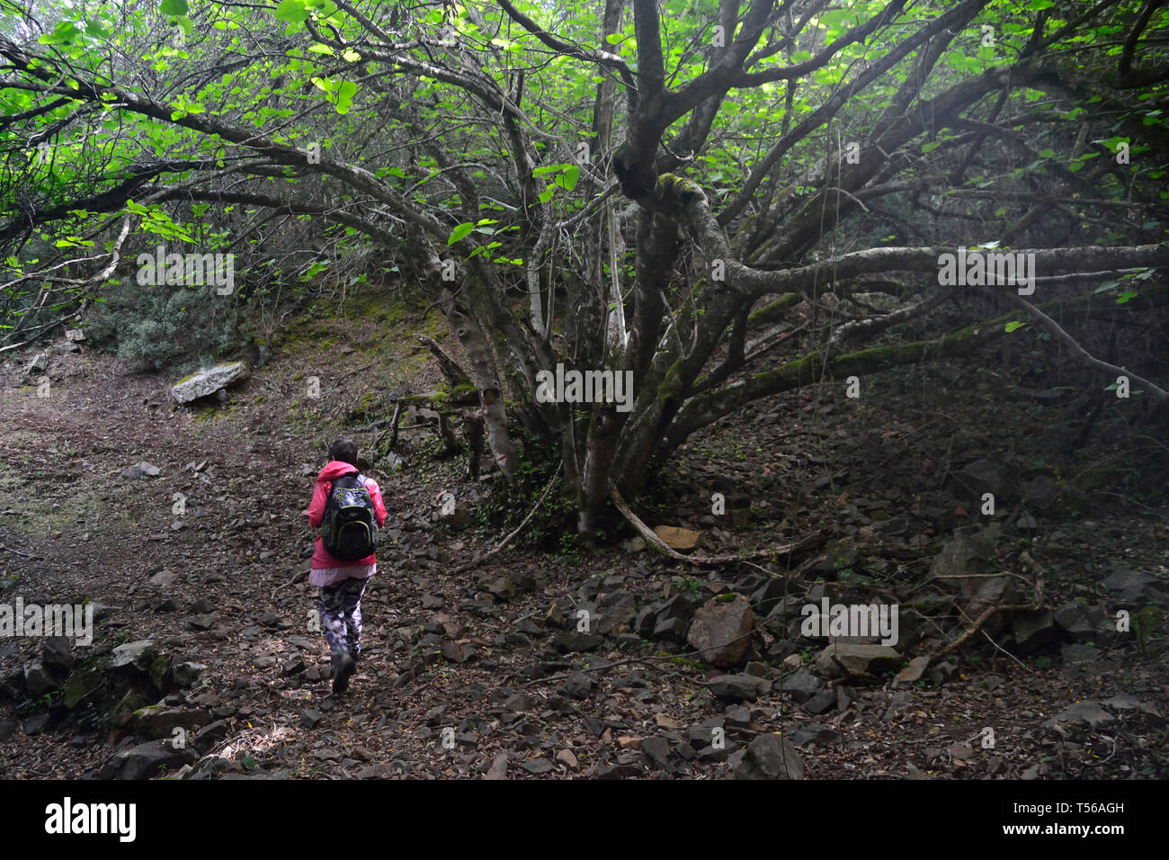 Path of miners Way of Silver Stock Photo - Alamy