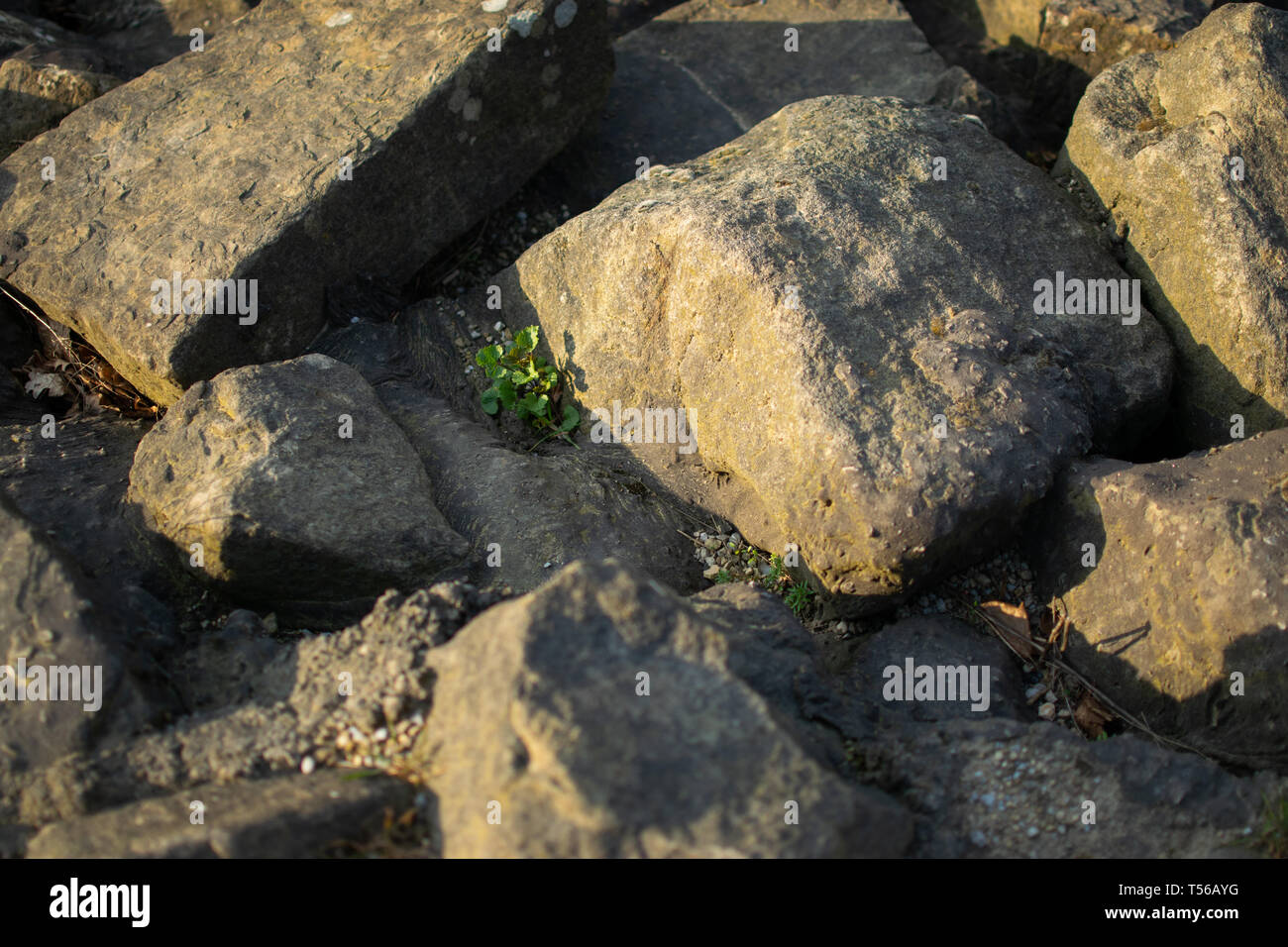 Dusty rocks hi-res stock photography and images - Alamy